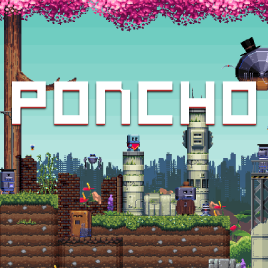 Poncho